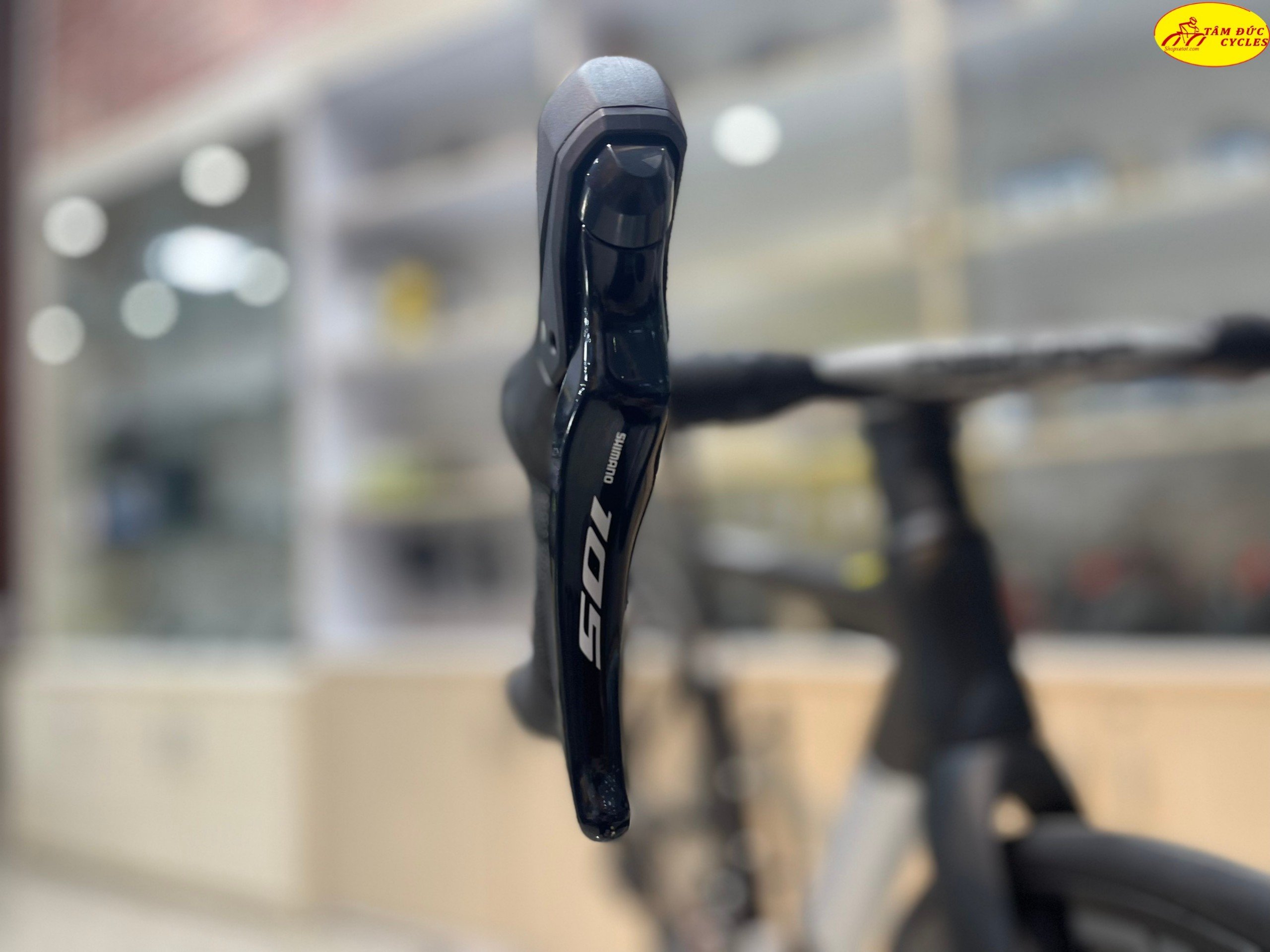 Java Fuoco 2024 plus